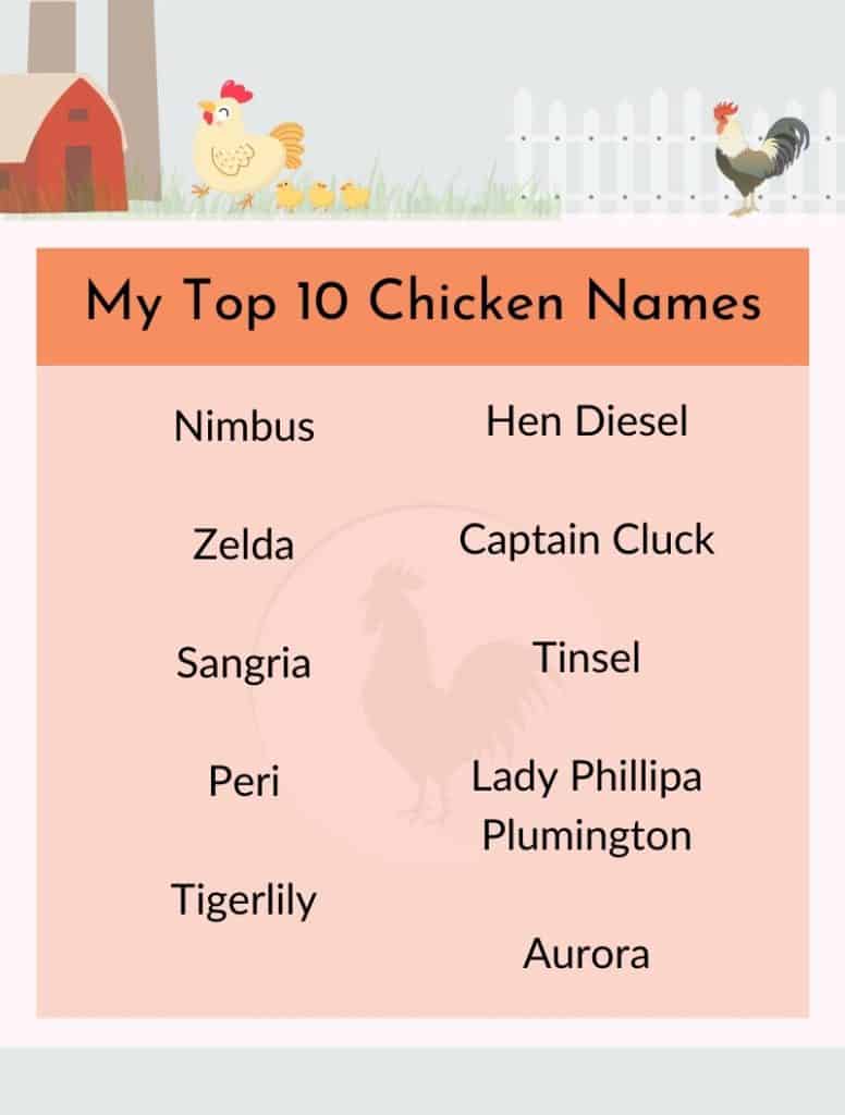 315+ Chicken Names to make you Cluck out Loud - The Easy Homestead