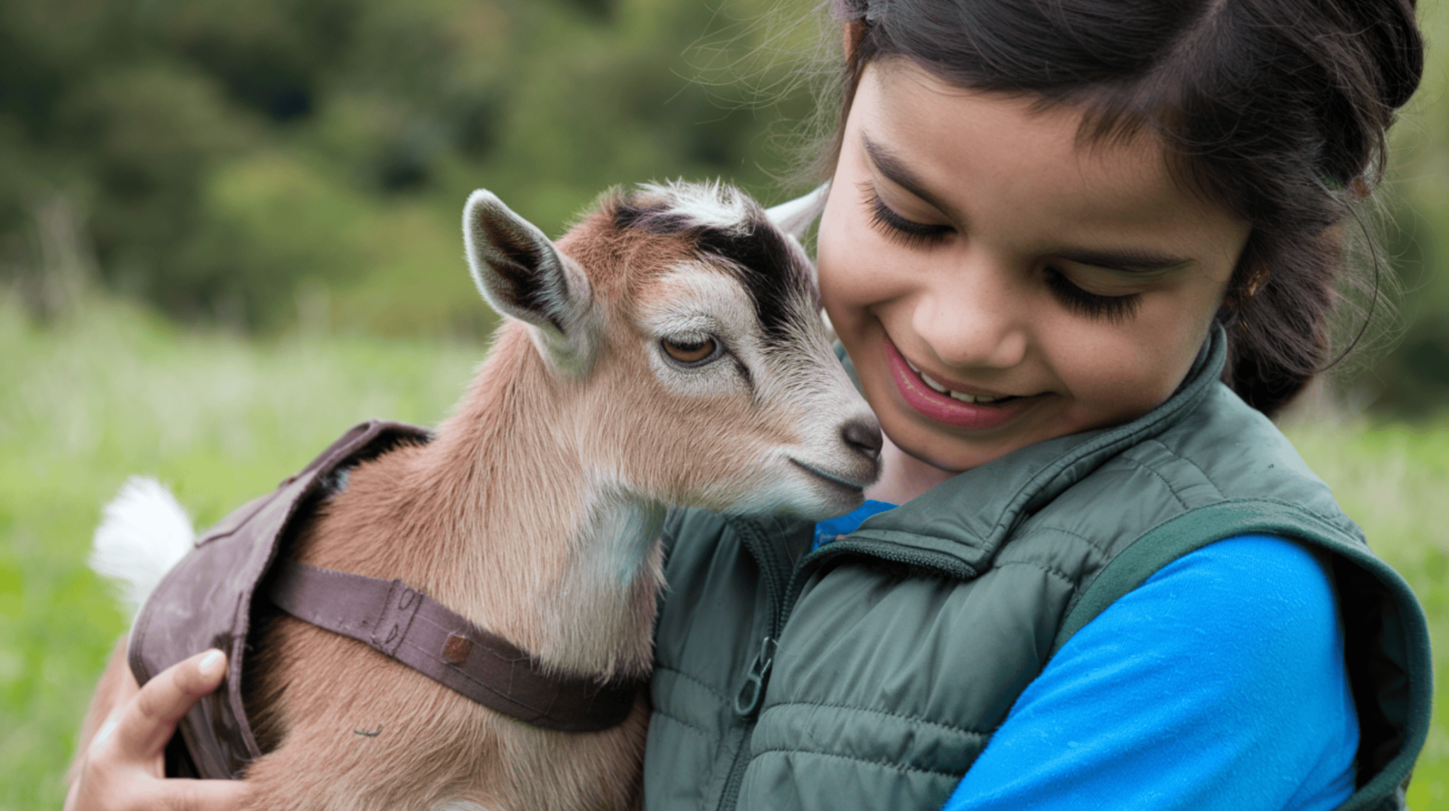 Pygmy Goats: My Guide to These Adorable Mini Farm Animals - The Easy ...