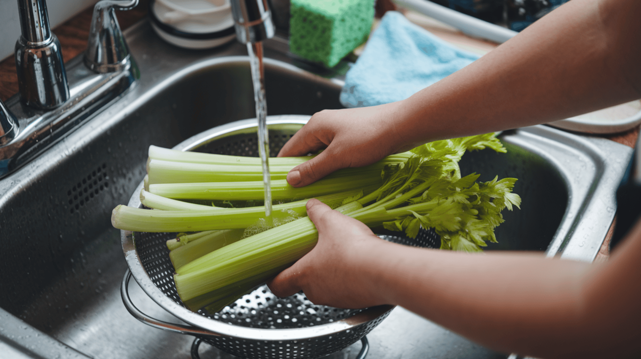 Can Chickens Eat Celery? Yes, And It's Highly Nutritious - The Easy Homestead